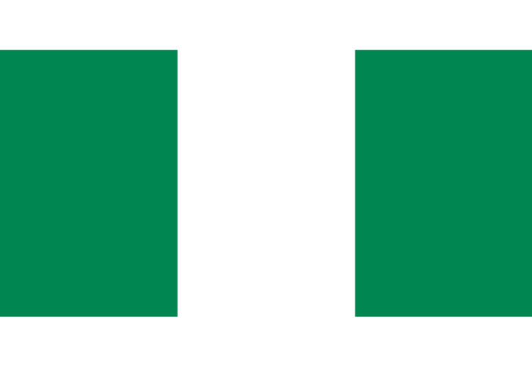 nigerian-flag | Ogun Today